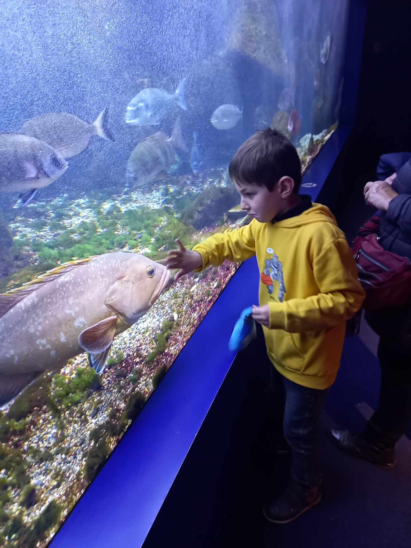 Pas l’air content ce poisson. – Me faire connaître de mes amis